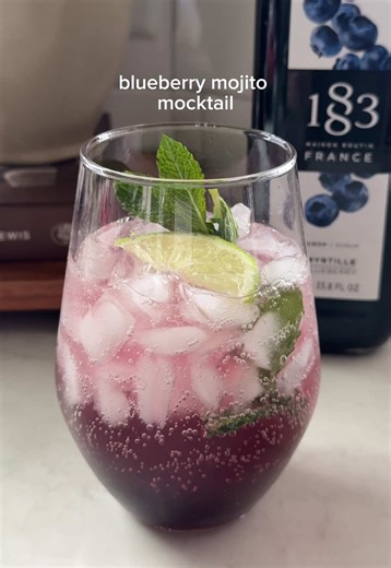 Refreshing Blueberry Mint Mocktail Recipe