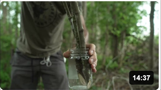 Learn how to make a Primitive Water Filter by Clay Hayes