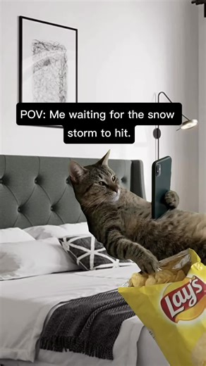 Hilarious Meme About Calling in Sick to Work