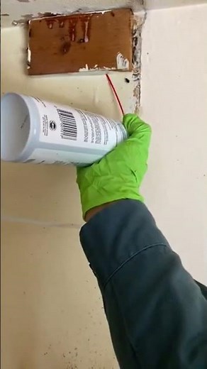 Getting Rid of German Cockroaches | Home Pest Control | Versa-Tech PM