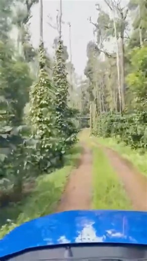 Skylarc resort@ Kodagu…#chikmanglore # sisterhood#hiking fun#