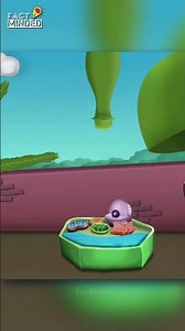 The Touch-Me-Not Plant Explained in 60 Seconds!