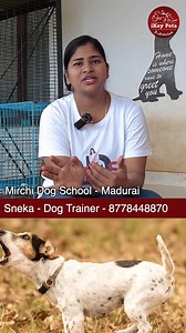 Dog Adoption | நாய் Hair = Allergy உண்மையா❌ Pet Care Tips in Tamil #shorts #dogtraining #dogvideos நாய் வளர்க்குறதா யோசிச்சுட்டீங்கனா, இந்த வீடியோ உங்களுக்காக! 🐶 👉 Dog Adoption பண்ண நினைக்கிறீங்களா? குழந்தைகளுக்கு நாய் hair பாதிப்பு வருமா? 👉 நாய் hair allergy, குழந்தைகளின் health issues, மற்றும் பாதுகாப்பான Pet Care Tips எல்லாமே இந்த வீடியோல பாக்கலாம். 👉 Dog Adoption செய்ய நினைப்பவர்கள் கண்டிப்பா தெரிஞ்சிக்க வேண்டிய முக்கியமான தகவல்! இந்த மாதிரி இன்னும் பல Pet Care, Health Tips, Dog Training