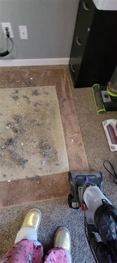 Big Mess test with Eureka Vac. I have not tried one with this vac because its so small. But it did okay! Bin dump at the end. #vacuuming #cleantok #eureka #asmrsounds #fyp