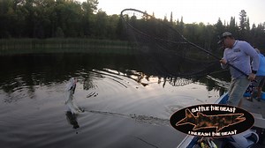 5.4K views · 29 reactions | Jumping fish are one of the coolest and...