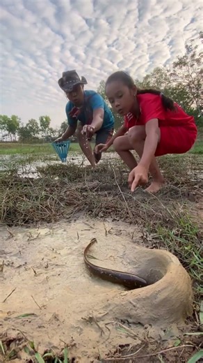 Scary python appeared in summer 😳🐍☀️