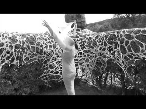 HAUNT ON THE HILL ~ BEEF NETTING WEBS