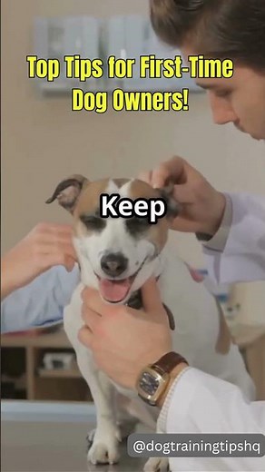 Top Tips for First-Time Dog Owners!