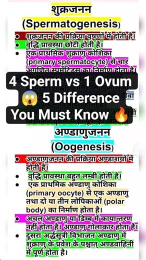 4 Sperm vs 1 Ovum😱 Spermatogenesis vs Oogenesi| Explained Fast Spermatogenesis and Oogenesi|#shorts