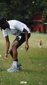 Distraction training for dogs teaches them to focus on you despite tempting sounds ,smells and even other dogs.Watch as Shez🐶 passes the distraction test with a simple command ‘STAY’.For Dog training services contact 0718408954 #dogtraining #dogtrainer #dogtrainingtips | Courage k9 Section