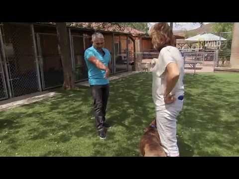 Cesar 911 Episode 11 Exclusive: Personal Space