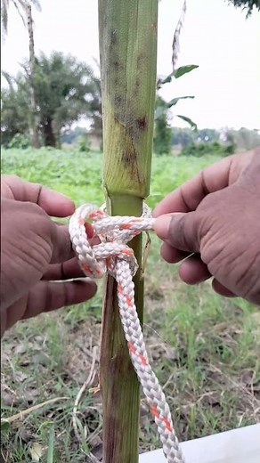 Kalmyk Loop Knot | Fast, Secure & Quick-Release Knot You Should Know