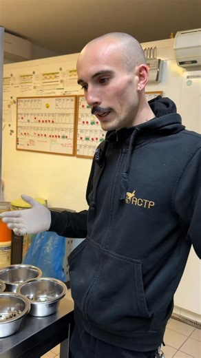 Breakfast routine for our Lear’s macaws! 🌞🦜 These endangered, striking blue parrots are native to sandstone cliffs of Brazil’s caatinga region and are among the world’s most endangered parrot species. 💙 Their morning diet consists of sprouted seeds, fresh fruits, macadamia nuts, and also some of their native food items, like Lucuri palm nuts — with a bit of corn every now and then. 🌽 The amount is carefully adjusted, especially when a chick is being raised by the parents. 👶 A balanced and v