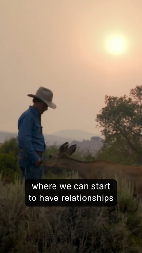 28K views · 417 reactions | Whispering to the Wild: The Art of Silent Connection | Sustainable Human | Facebook