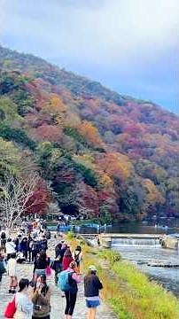 #嵐山の紅葉 #京都の紅葉 #渡月橋 #秋の京都旅行 #京都観光 #京都旅行 #kyototravel #kyototrip #Japan #shorts #maiko #asiantravel