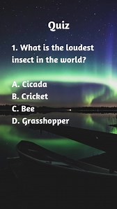 148K views · 3.4K reactions | Quiz Number 14 Discover intriguing facts and test your understanding of scientific concepts through our engaging quiz, designed to ignite your curiosity. #factsfortheday #reelsfb #reelsviral #education #pubquiz #fyp #quiznight #knowledge #facts #quiz #QuizTime #Quizzes #trivia #TriviaTime #TriviaNight #factsdaily #factsonly #fact #factsoflife #quiz #randomfacts | Mindbreaker Mayhem | Facebook