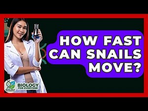 How Fast Can Snails Move? - Biology For Everyone