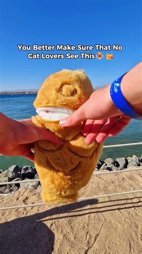 Don't Show This To Cat Lovers!🤫😹