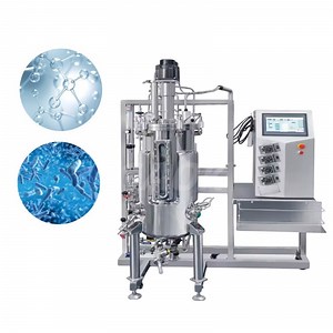 [Hot Item] Advanced Stainless Steel Bioreactor for Food Industry Applications