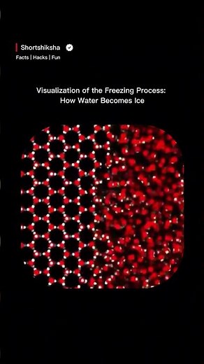 Visualization of Water Turning Into Ice at the Molecular Level | Science Explained