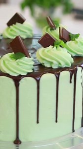 6.1K views · 133 reactions | A rich & decadent Chocolate Mint Cake for the holidays! Made with rich chocolate cake layers, creamy mint buttercream, and dark chocolate ganache! Get all the recipe details on my website! Plus, watch my full-length YouTube video tutorial! https://tatyanaseverydayfood.com/mint-chocolate-cake/ #recipe #chocolate #cake #christmas #baking #desserts #chocolatecake | Tatyana's Everyday Food | Facebook