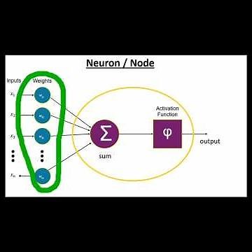 The Magic of Artificial Neural Network Weights