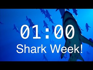 1 Minute Countdown Timer with Alarm | Relaxing Music | Shark Timer