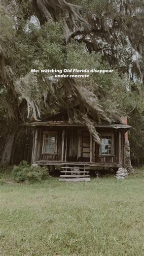 Tanya Venditto | It will all be just a memory | Instagram