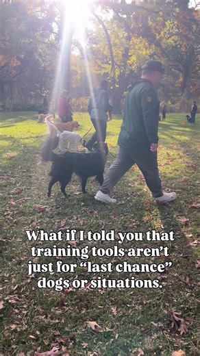 One of my dog trainer pet peeves is when we talk about tools like they’re only acceptable when everything has gone wrong — when a dog is on the verge of being rehomed, returned, euthanized, or labeled “broken.” But the truth? Most of the time, it’s not that dramatic. Sometimes you use tools because: ✨ You want clearer, more humane communication ✨ You want off-leash freedom with a safe, reliable recall ✨ You want to reduce conflict or confusion ✨ You want to enjoy walks, or having guests over, or
