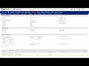 NetSuite Customer 360 Demonstration