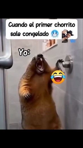 Ni modos....toca baño con agua fría 🫤🫤🫤🫤😅😅😅😅 | Osmi Garcia