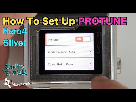 Hero4 Silver - How To Set Up Protune - GoPro Tip #506 | MicBergsma