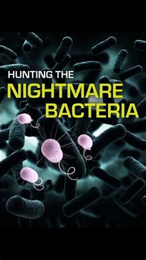 Nightmare Bacteria Cases Surge: Antibiotic-Resistant Flesh