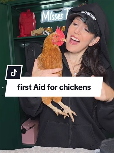 Essential First Aid Kit for Chickens: A Complete Guide