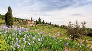 Orris: The world’s rarest perfume ingredient