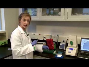 iQ-Check Standard Extraction Protocol Training