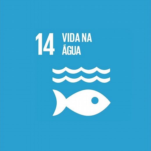O papel das empresas em relação aos ODS14 - Vida na Água