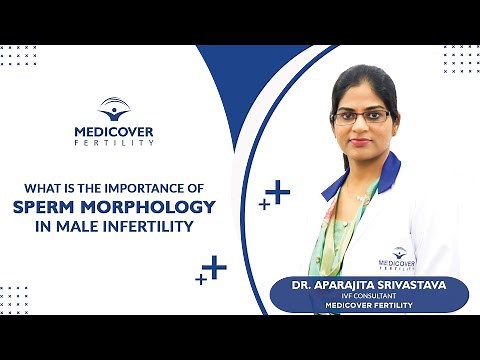 What is the Importance of Sperm Morphology in Male Fertility ?