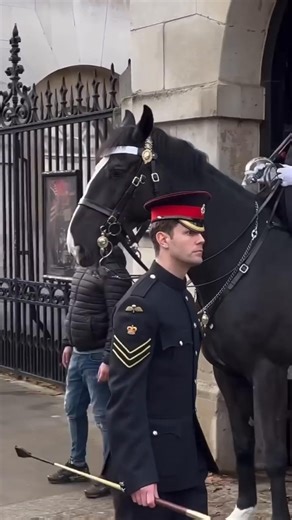 13K views · 194 reactions | The MOST Handsome Guard Comes To Check on Horses! #thekingsguard | The Sovereigns Protectors | Facebook