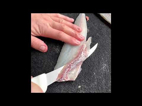 How to fillet King George whiting, properly!