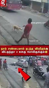 💔நாய் சண்டையால் நடந்த விபரீதம்😱 விட்ருந்தா 2 உசுரு போயிருக்கும்😥