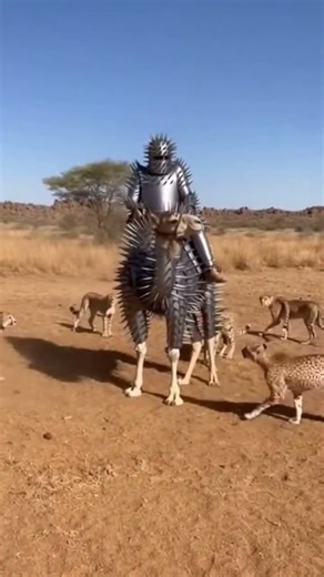 Spiked Armor vs Speed: Camel Rider Faces Cheetah Ambush in the African Savanna