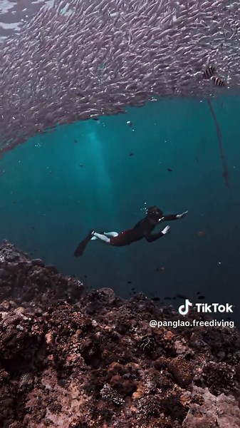 Shim dives into the magic of Napaling — Panglao’s best dive site — right after completing his Intro to Freediving. A stunning start to his underwater journey! #PanglaoFreedivingAdventures #FreedivingBohol #boholfreediving #panglaofreediving #freediver #freediving #fyp #introtofreediving #freedivingforbeginners #fypシ #OceanAdventures