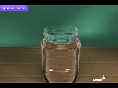 NCERT CBSE Class 8 Science Chapter 15 Some Natural Phenomena - Types of Charges