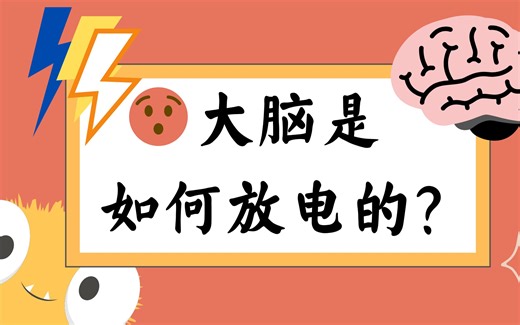 神经电生理入门（上）| 最详细最干货的静息电位讲解！钠钾离子泵 化学浓度梯度