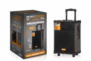 [Hot Item] 2025 New 12-Inch Bluetooth Speaker 50W Dual Wireless Microphone Built-in Battery