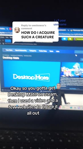 Cómo instalar Desktop Mate y mods en Resident Evil