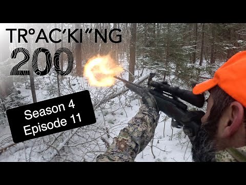 Tracking 200 S4E11: Big Buck On Snow, 11 miles to track him down