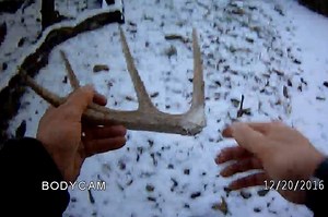 663K views · 5.3K shares | Some really cool body camera footage of one of our Game Wardens separating locked together bucks by shooting the antler on one of the bucks. These guys are free to fight again next autumn. Great shot sir! | Kansas Wildlife & Parks - Game Wardens | Facebook