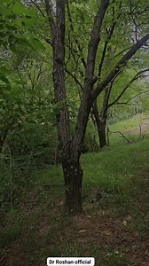 Rehmat❤️ #drroshanshaikh #inspiration #disability #motivationalvideo #motivationalquotes | Dr-Roshan Shaikh